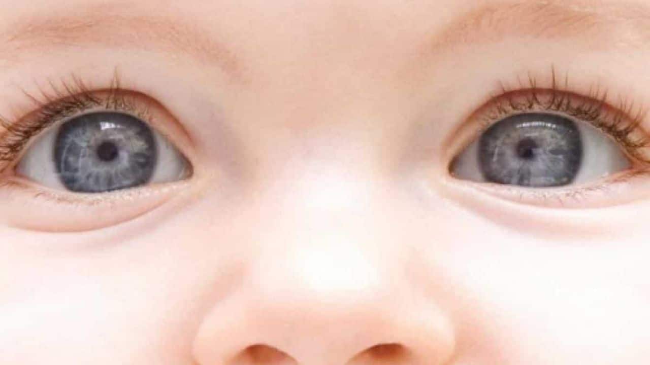 Las 7 dimensiones del desarrollo infantil: una guía completa » Jardín ...