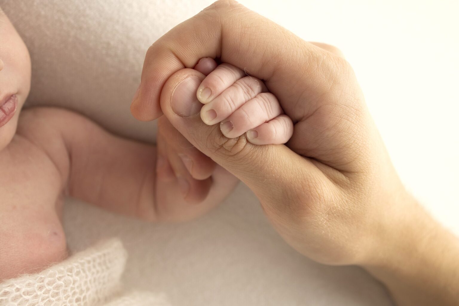 Las 7 dimensiones del desarrollo infantil: una guía completa » Jardín ...